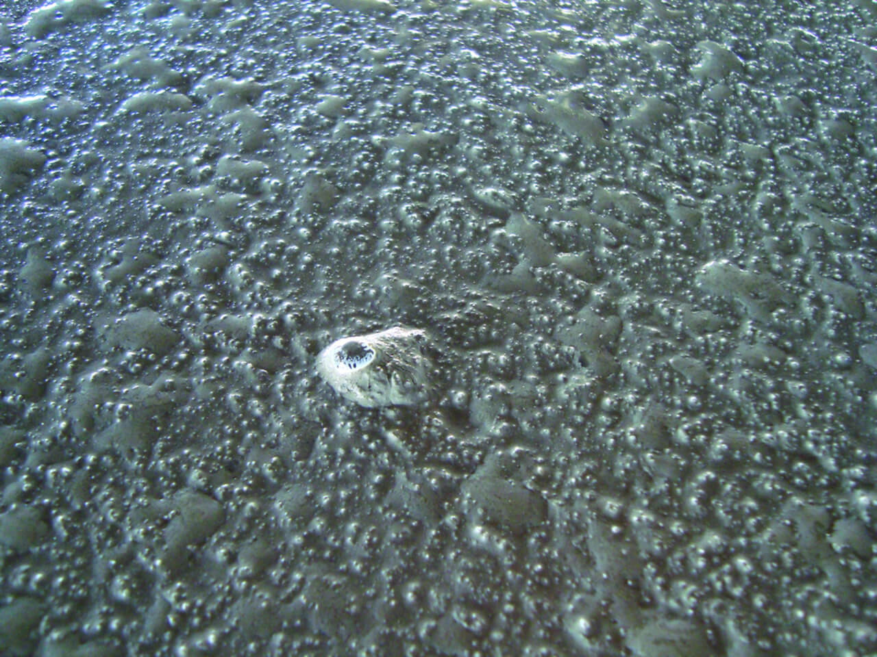 16 différents types de ciment - Cours BTP